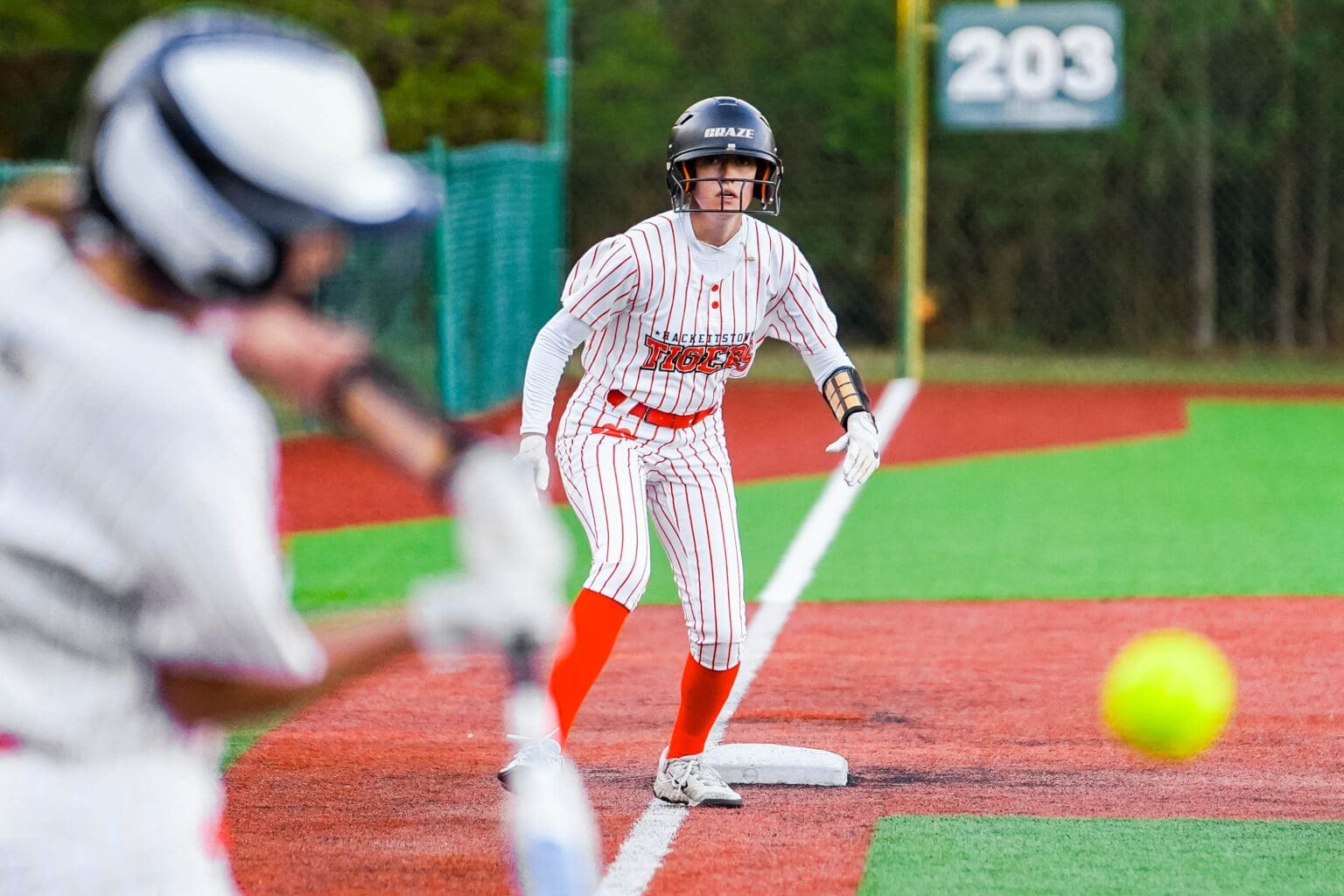 Spring Training — Ripken Baseball